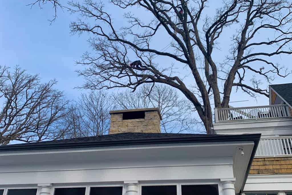 Kenilworth Tree Service & Trimming
